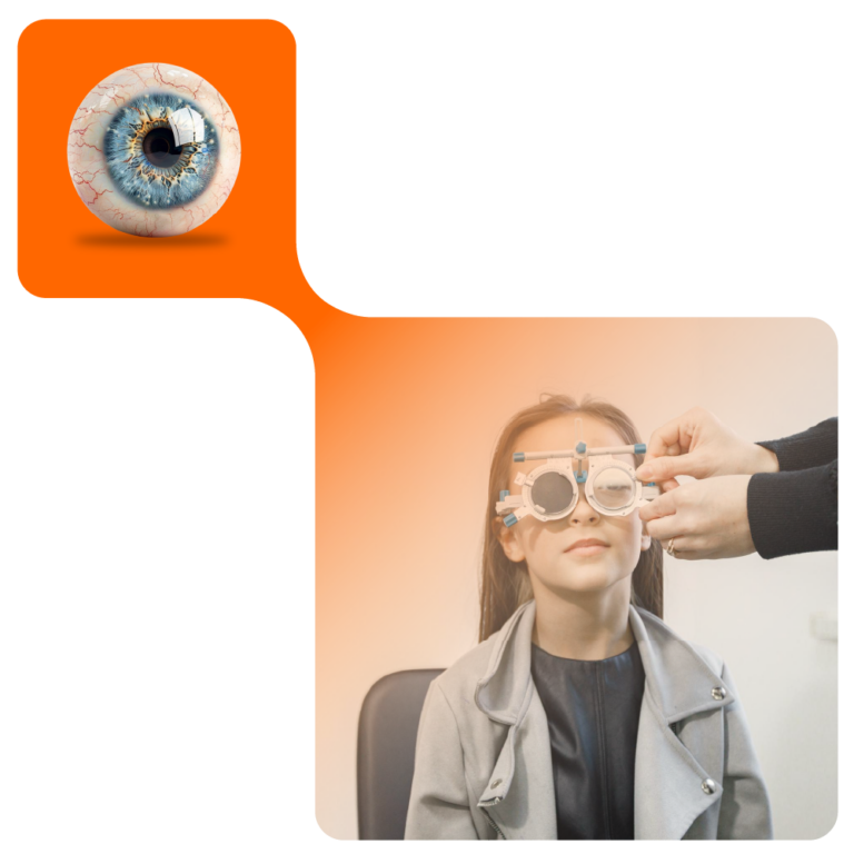 Comprehensive Eye Tests | Sandra Baird Optometrist
